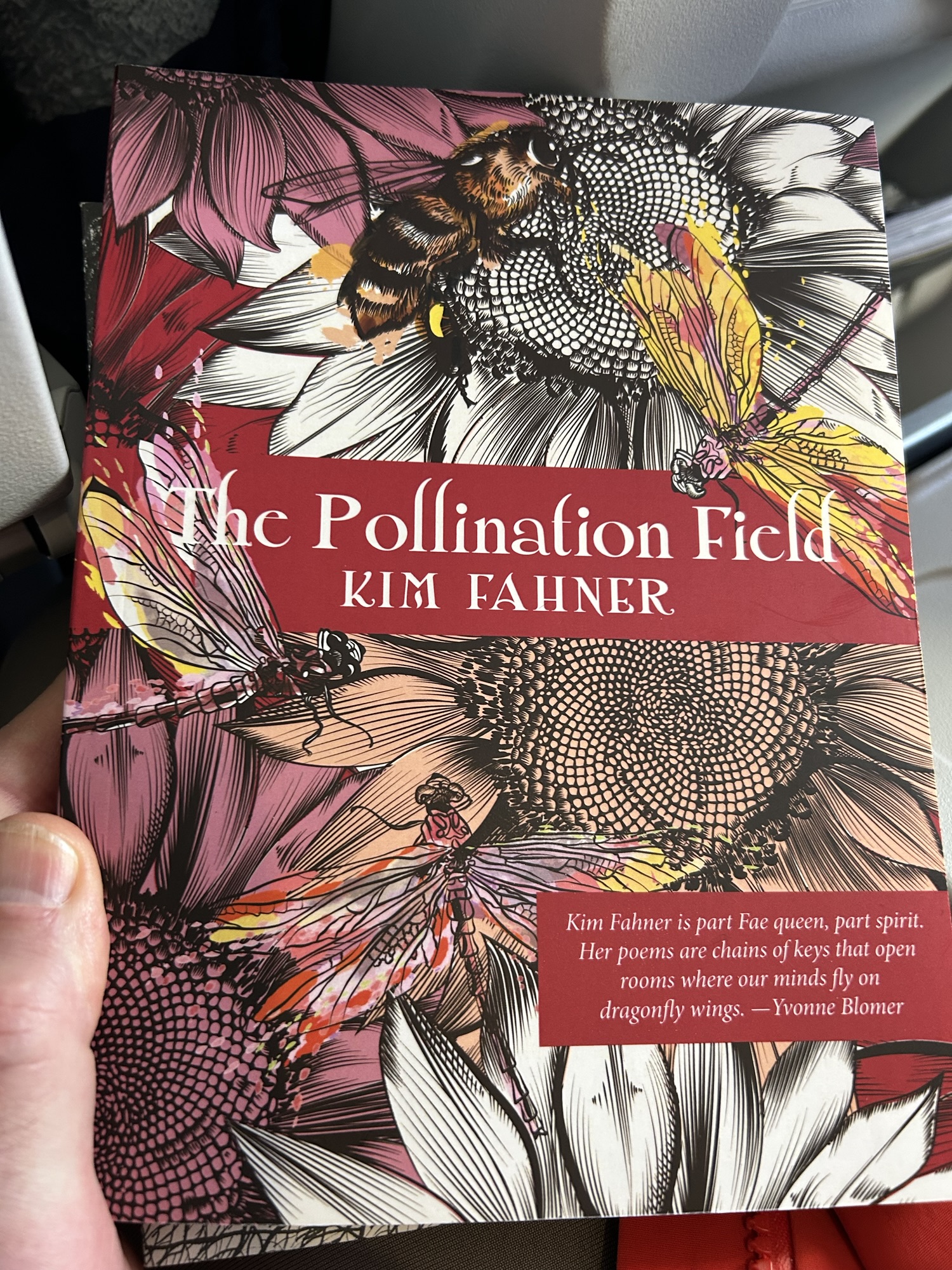 48. Kim Fahner, The Pollination Field – Reading and Walking